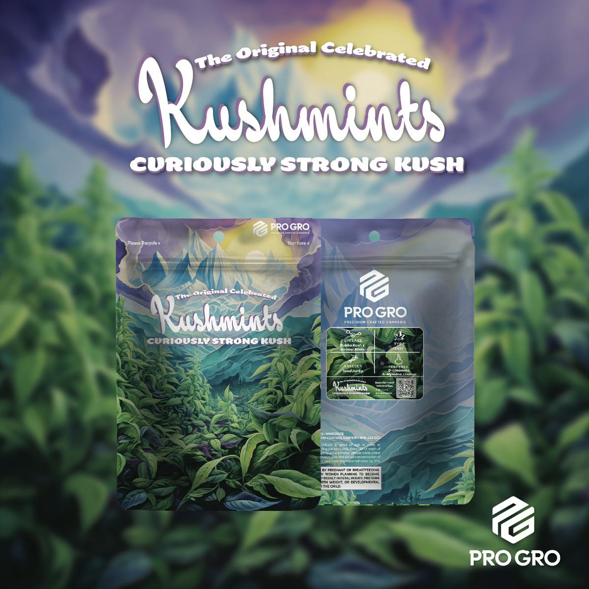 Kush Mints Pre-Pack | 3.5g - Pro Gro
