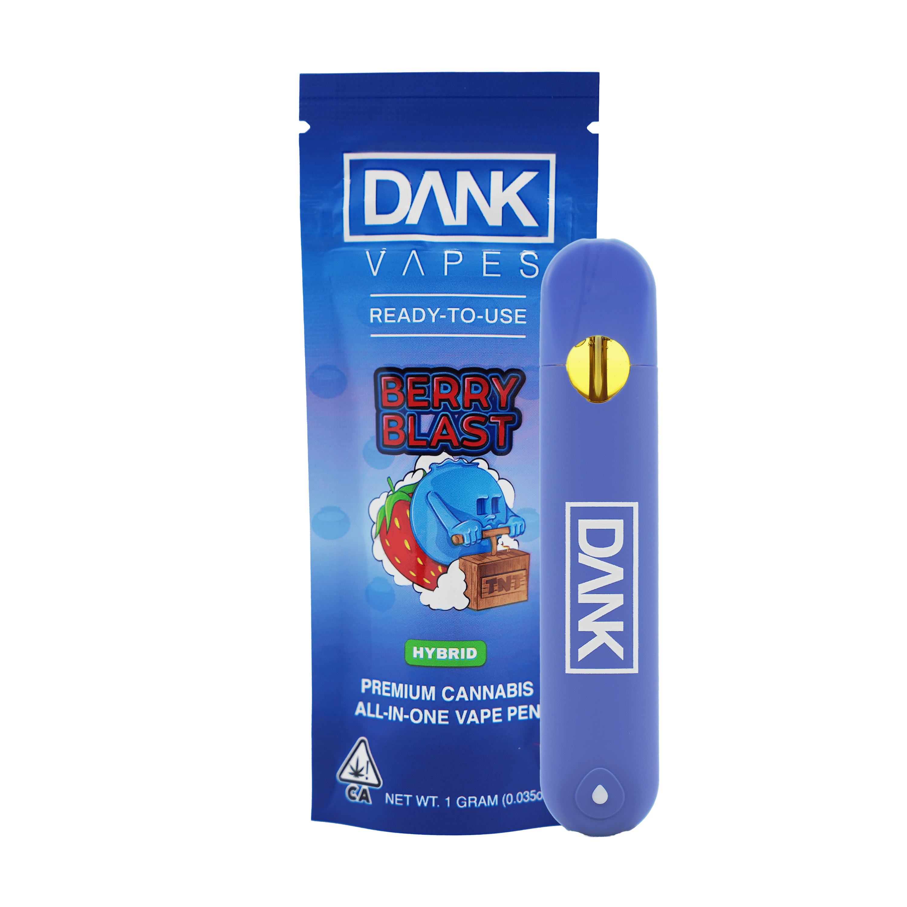 BERRY BLAST - 1G ALL-IN-ONE DISPOSABLE VAPE PEN - DANK