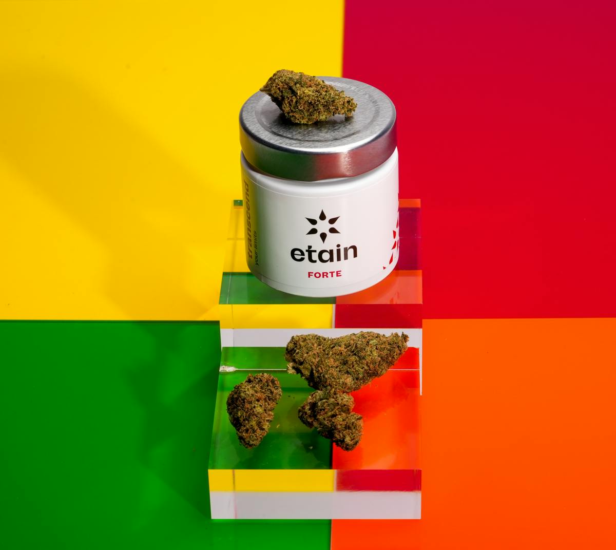 Forte Whole Flower - Zkittles (ZKS) - Etain