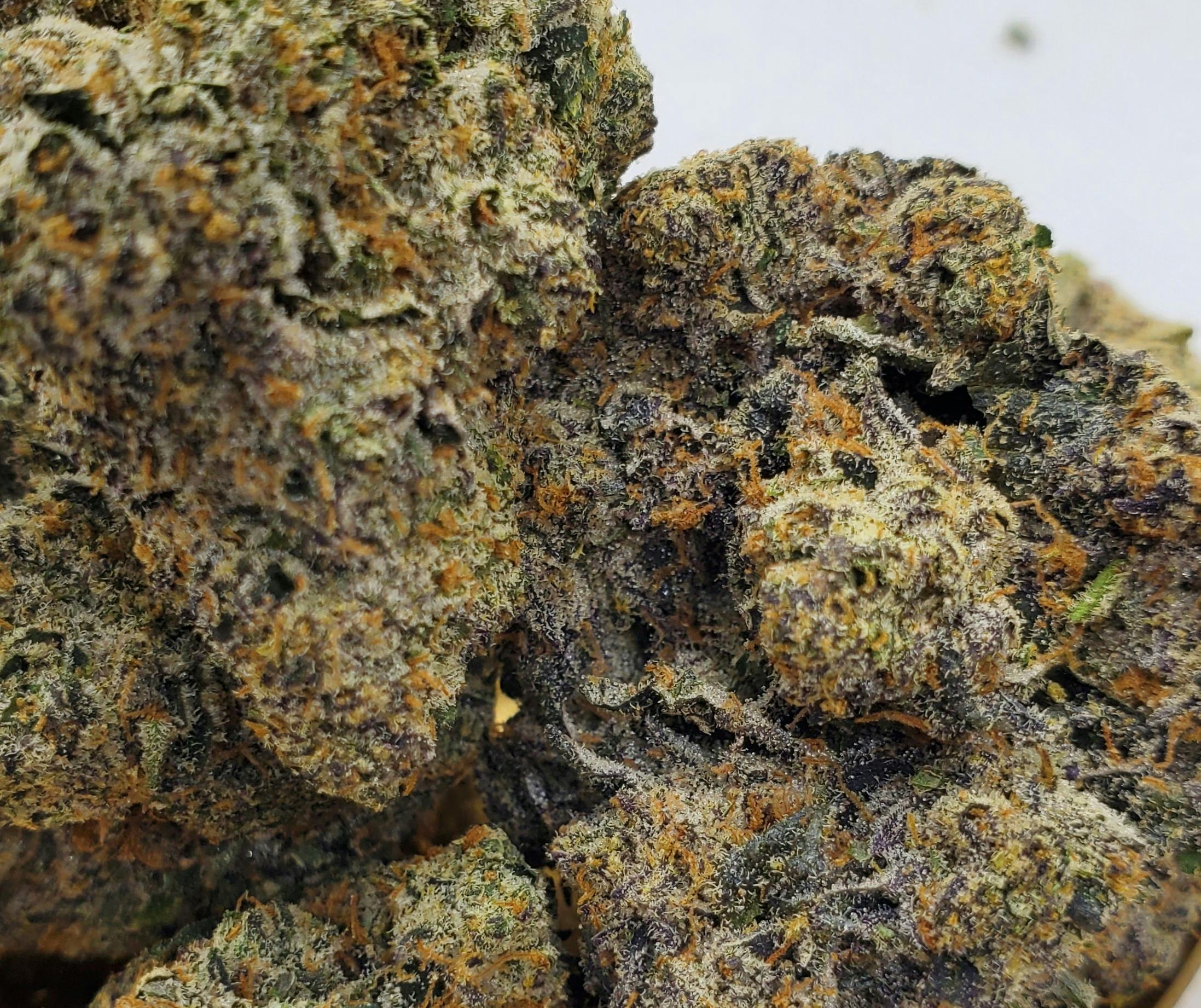 Cherry Haze - World Class Cannabis