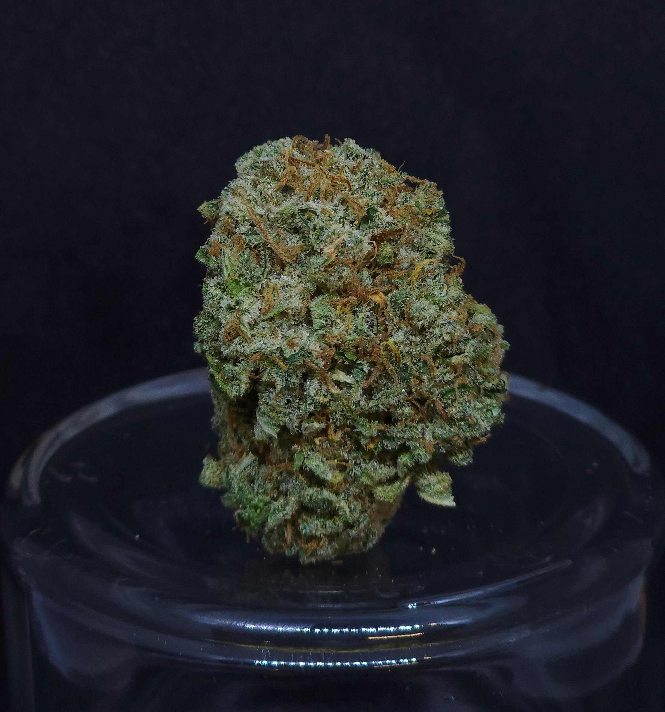 Z Sweet Insanity #5 14g Flower - BAM Alaska