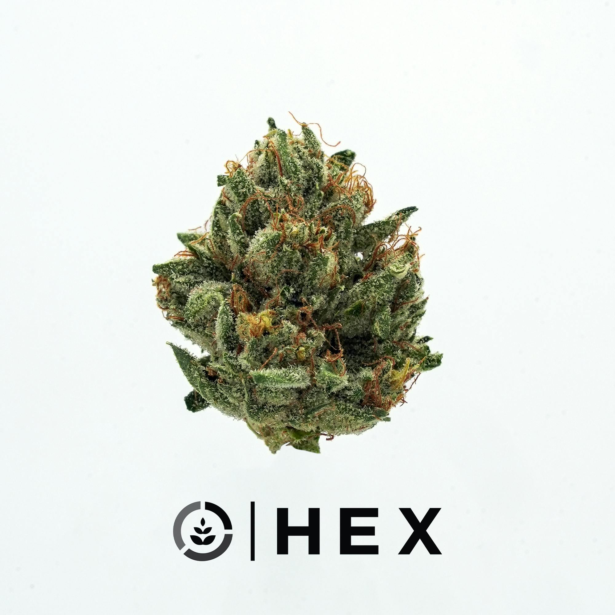HEX | Emperor OG Smalls | 7G - HEX