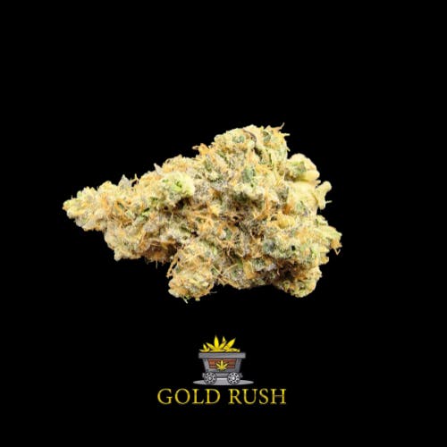 GG4 - Gold Rush Premium Extracts