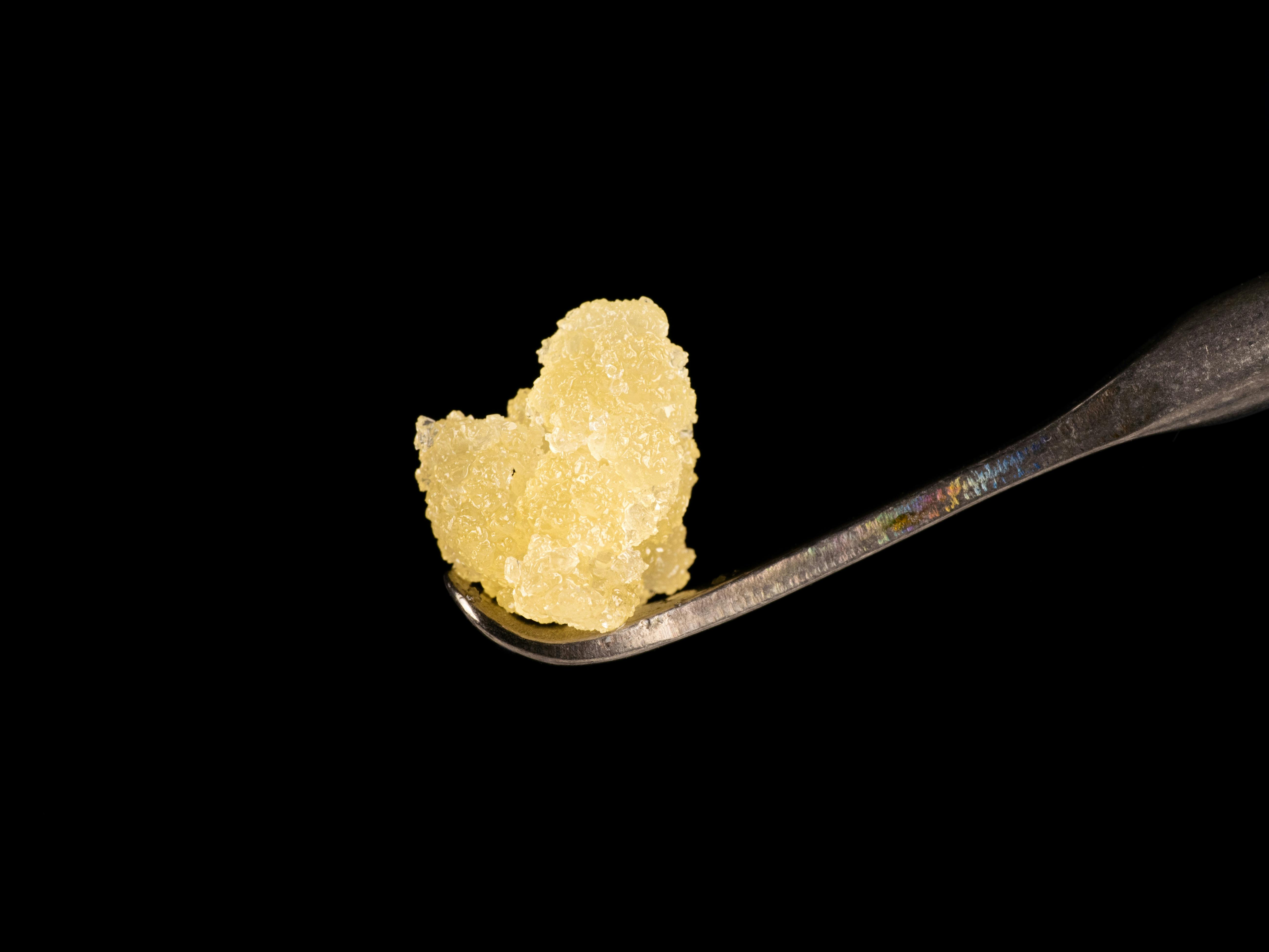 Gold Rush: 1 g Concentrate - Sugar - Biscotti - Gold Rush Premium Extracts