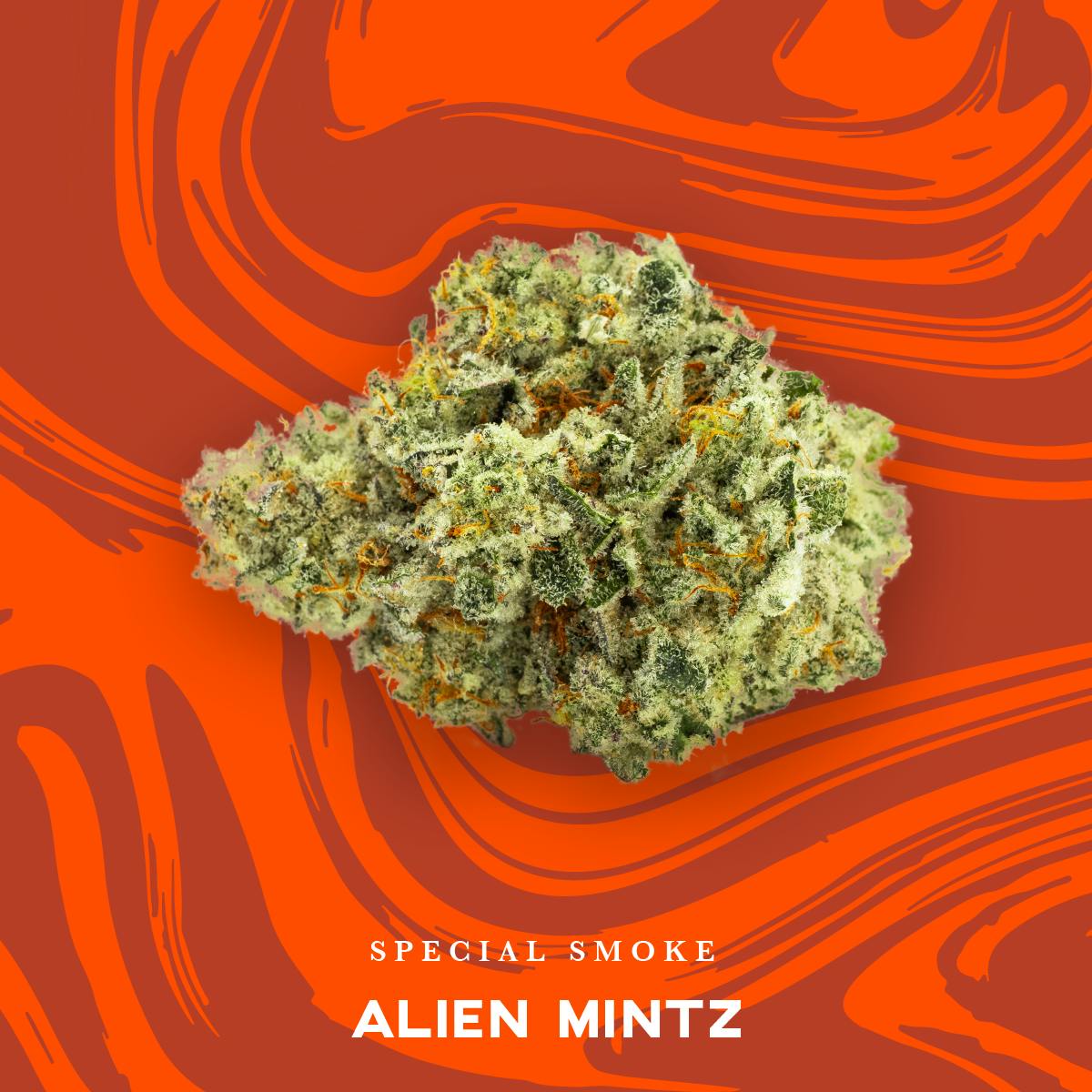 Vivid Special Smoke - Alien Mints - Indica Hybrid - Vivid