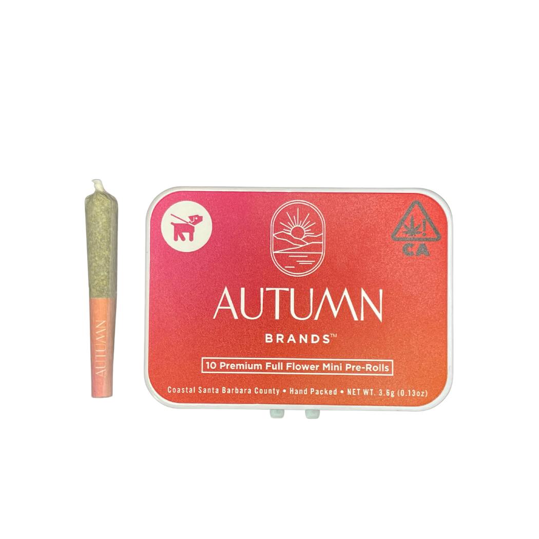 Motorbreath 10pk Mini Prerolls - Autumn Brands