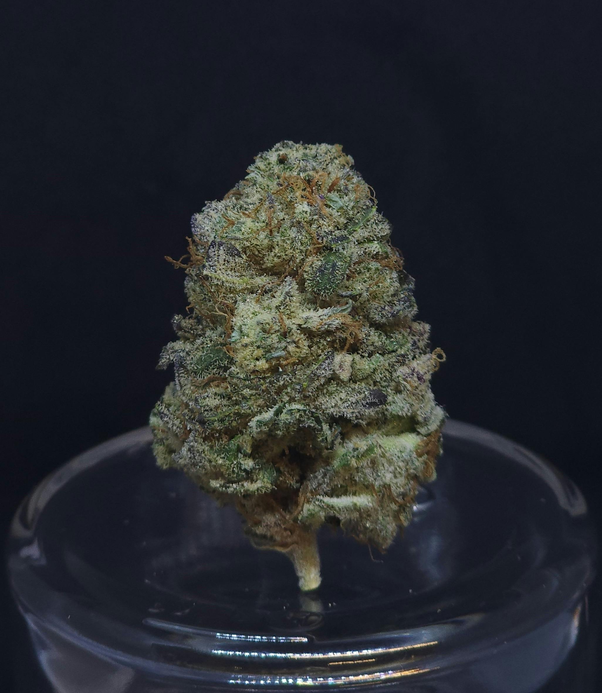 BAM Alaska Grease Monkey .5g Pre-Roll | Weedmaps