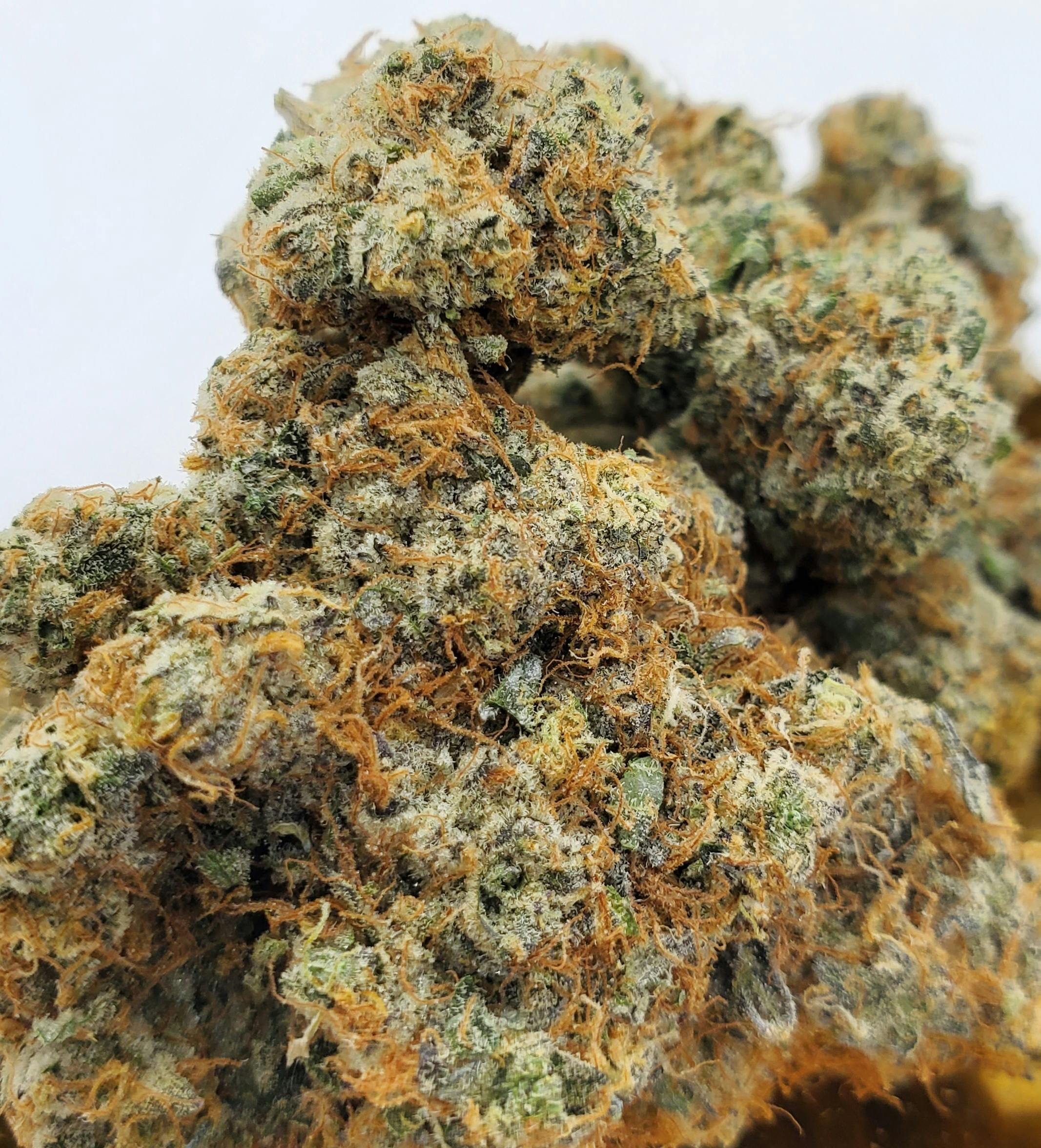 007 - World Class Cannabis