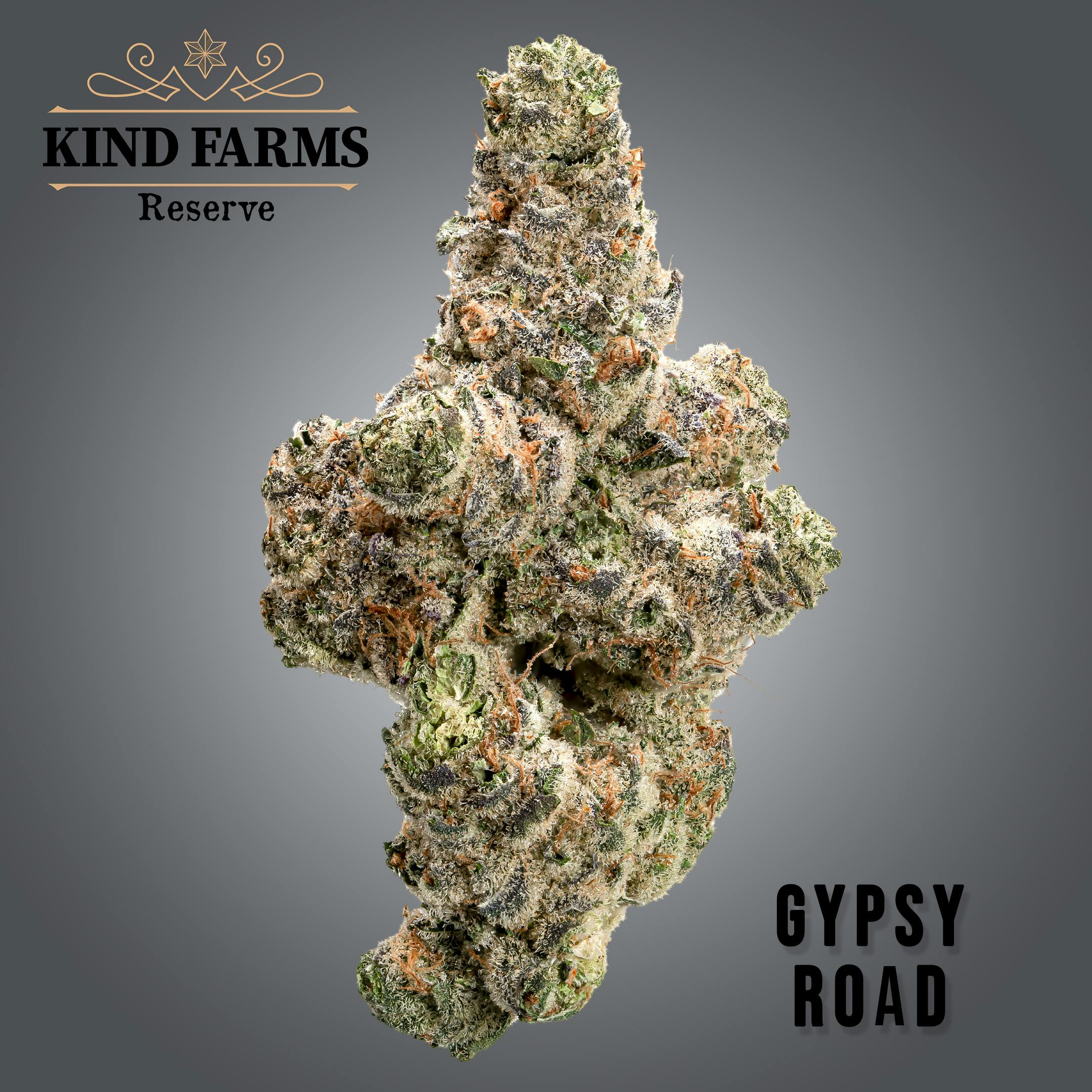 Gypsy Road - Kind Farms Reserve - Kind Farms Reserve