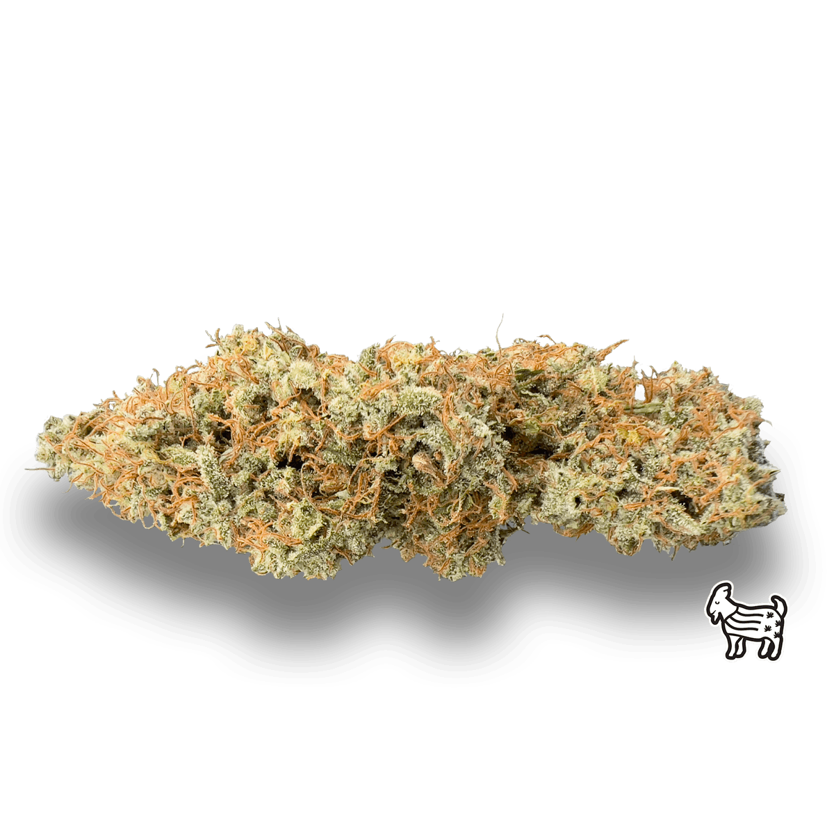 DURBAN POISON - The Laughing Goat