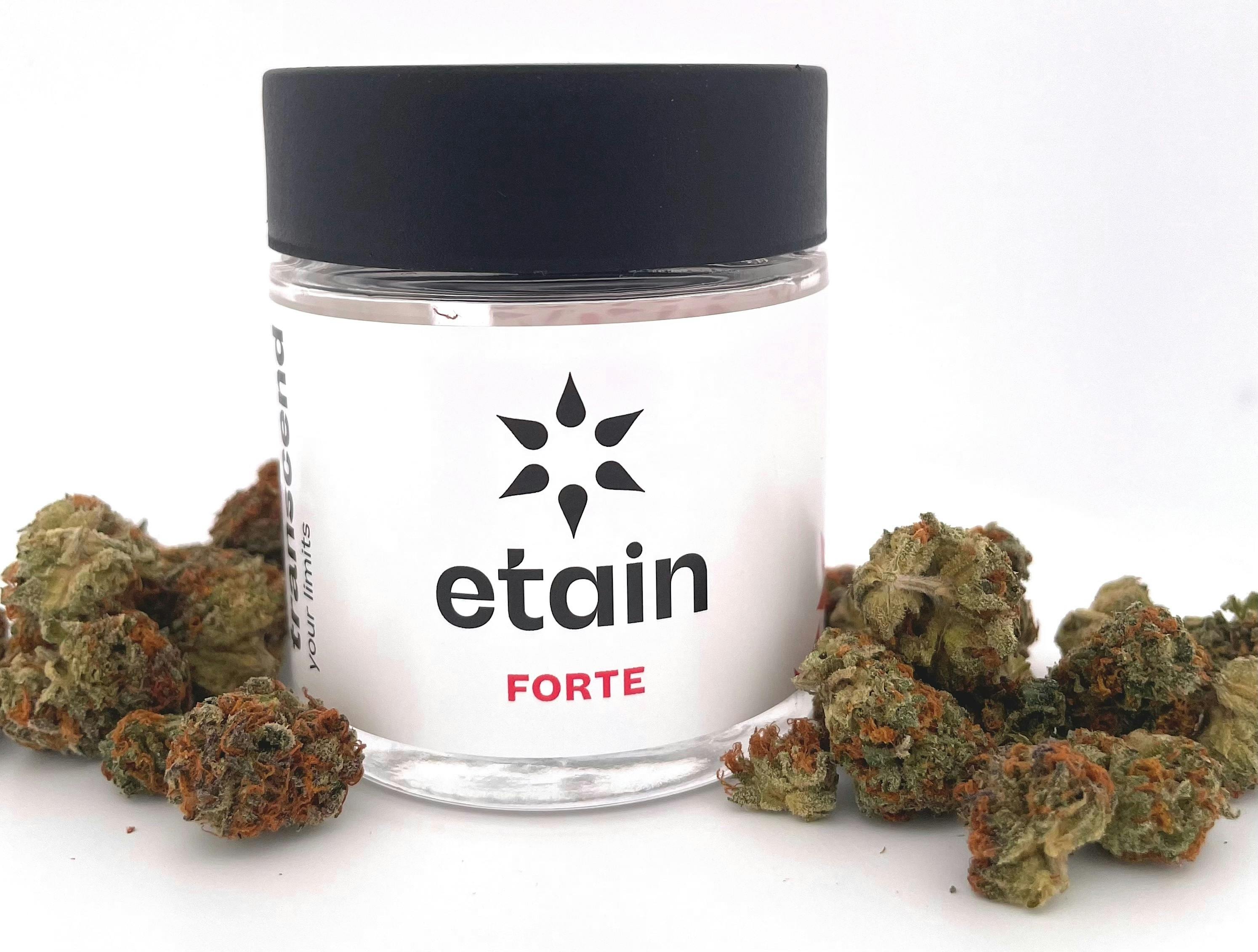 Forte 7g Smalls - Crème Brûlée - Etain