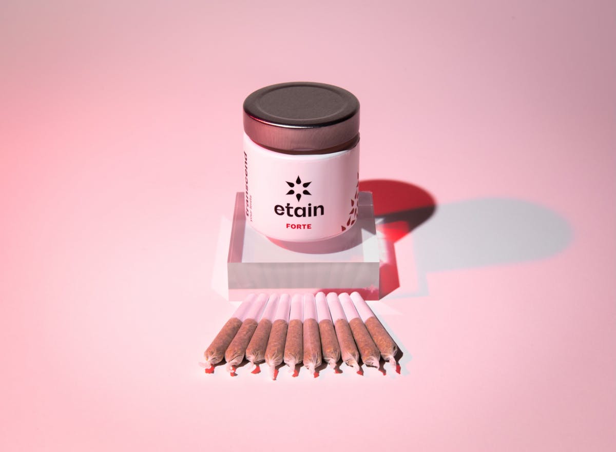 Forte Mini Pre-Rolls - Mimosa EVO (MEVO) - Etain