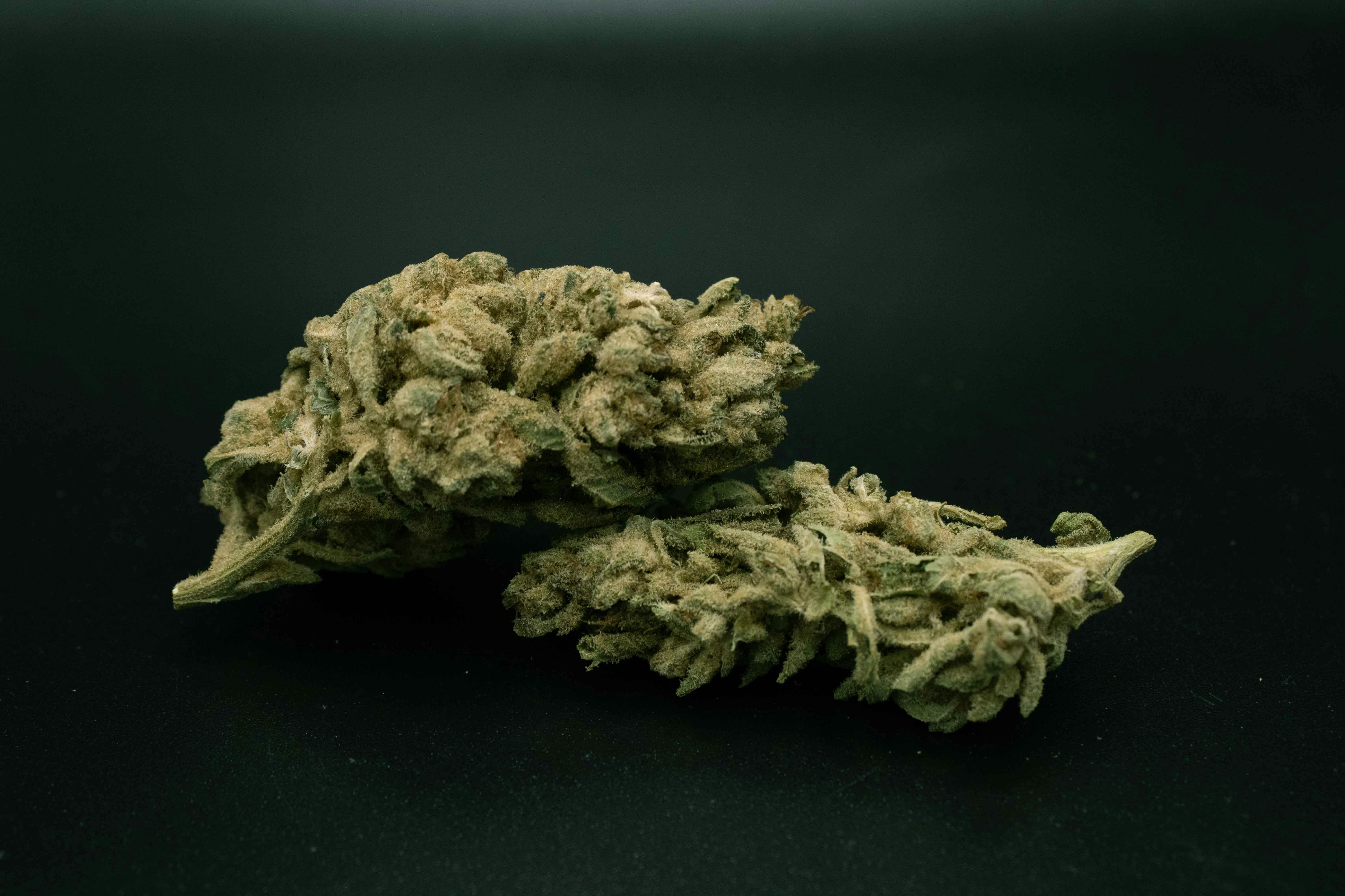 Secret Weapon 1/2 Ounce/14Grams(30%THC,SATIVA) - Trusty Transportations