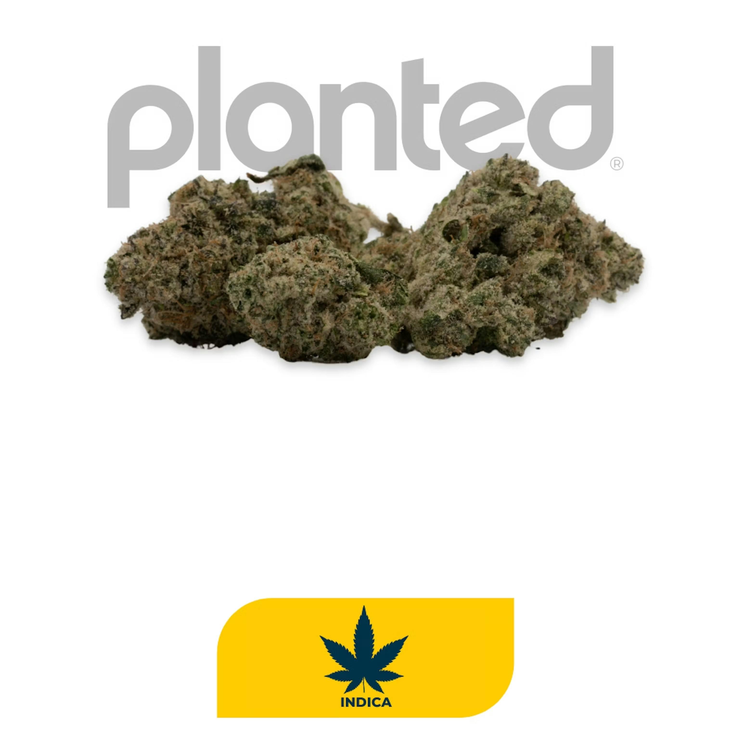 Donkey Butter - Planted
