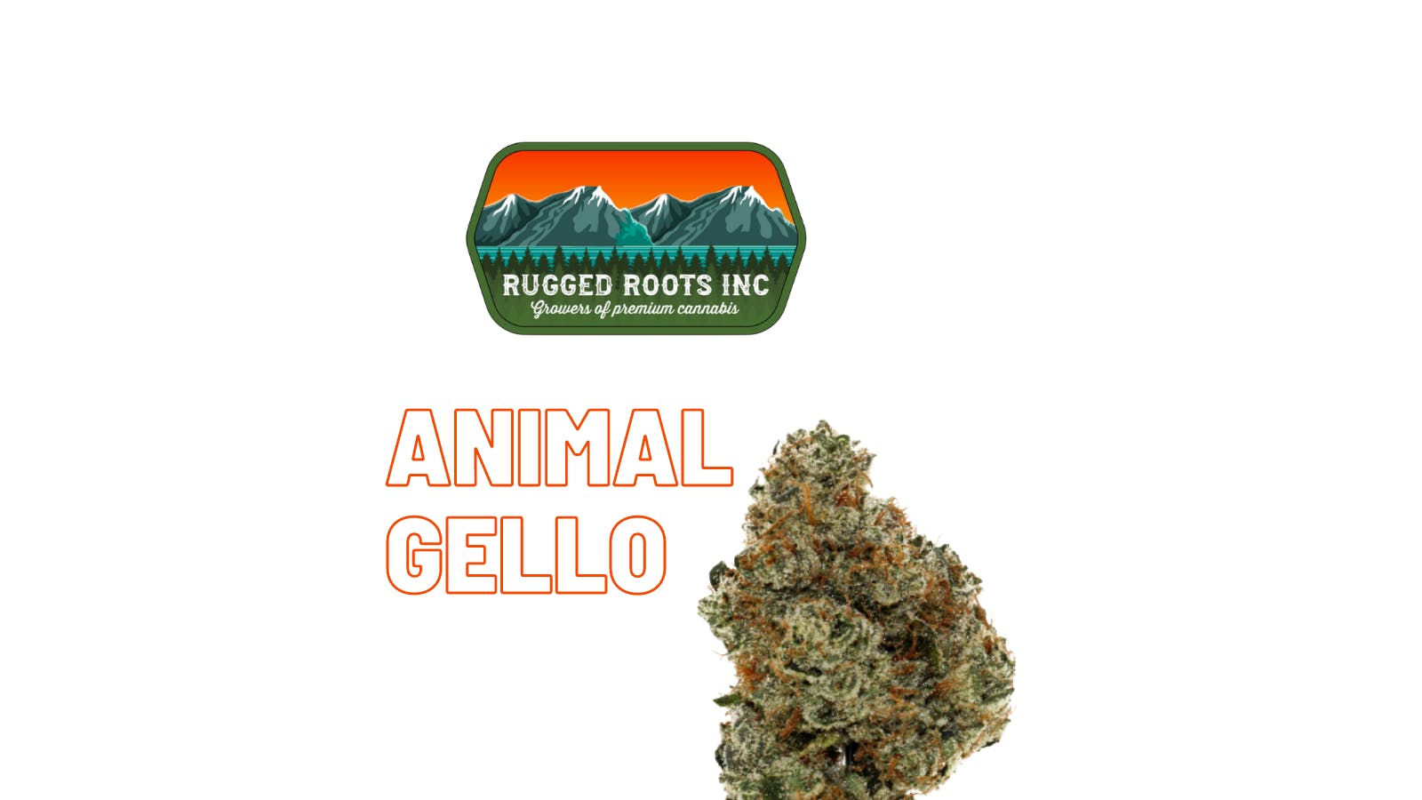 Rugged Roots | Animal Gello 3.5g Smalls - Rugged Roots