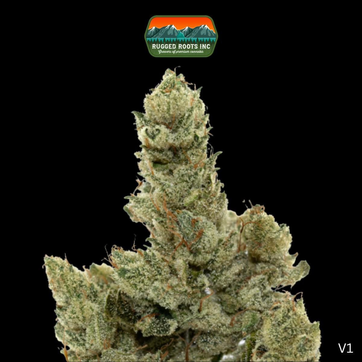 Rugged Roots | Gorilla Glue #4 3.5g Smalls - Rugged Roots