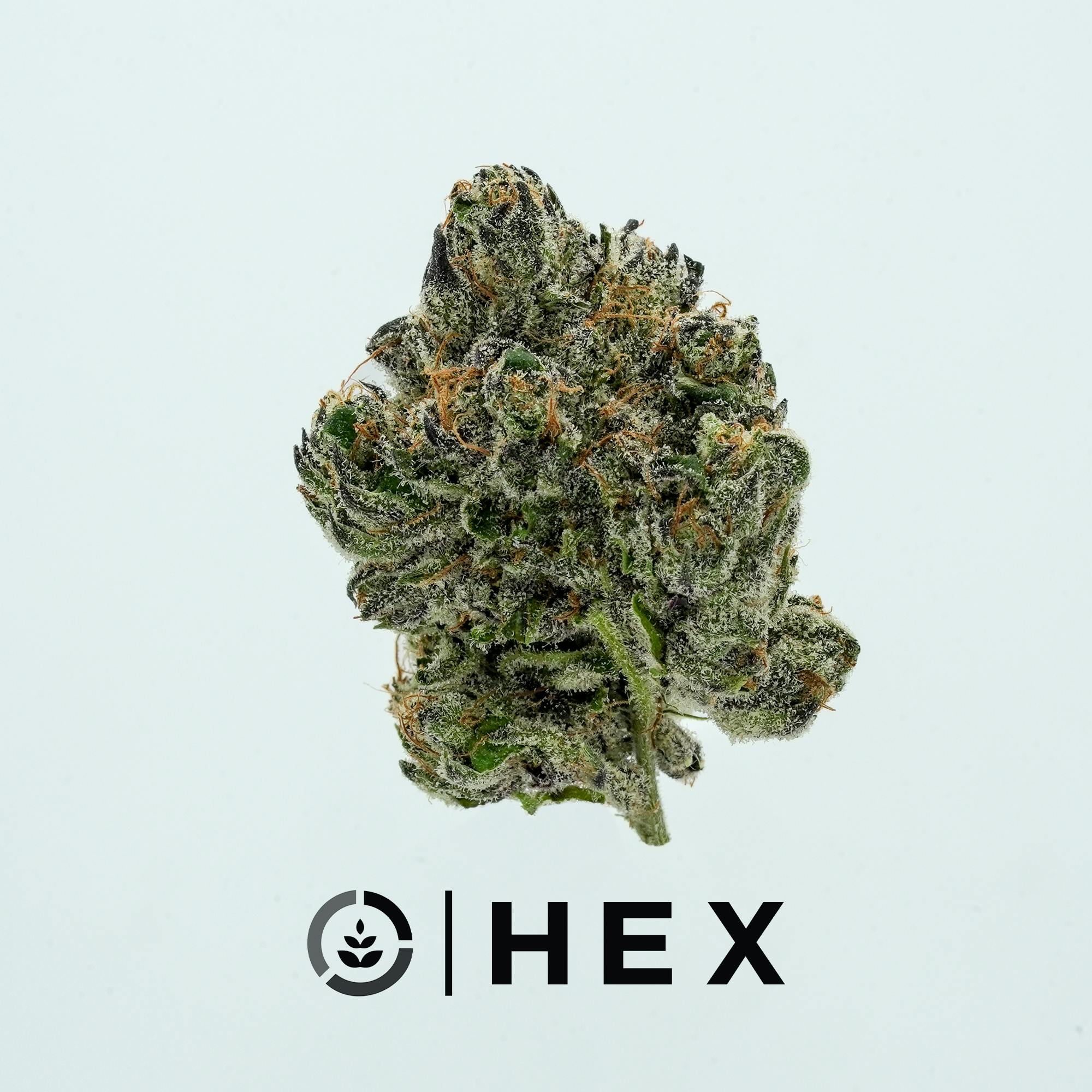HEX | Tropical Runtz | 3.5G - HEX