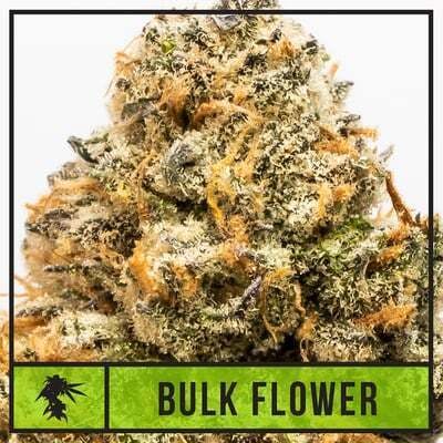 Banana Punch - 28g Flower - Natty Rems