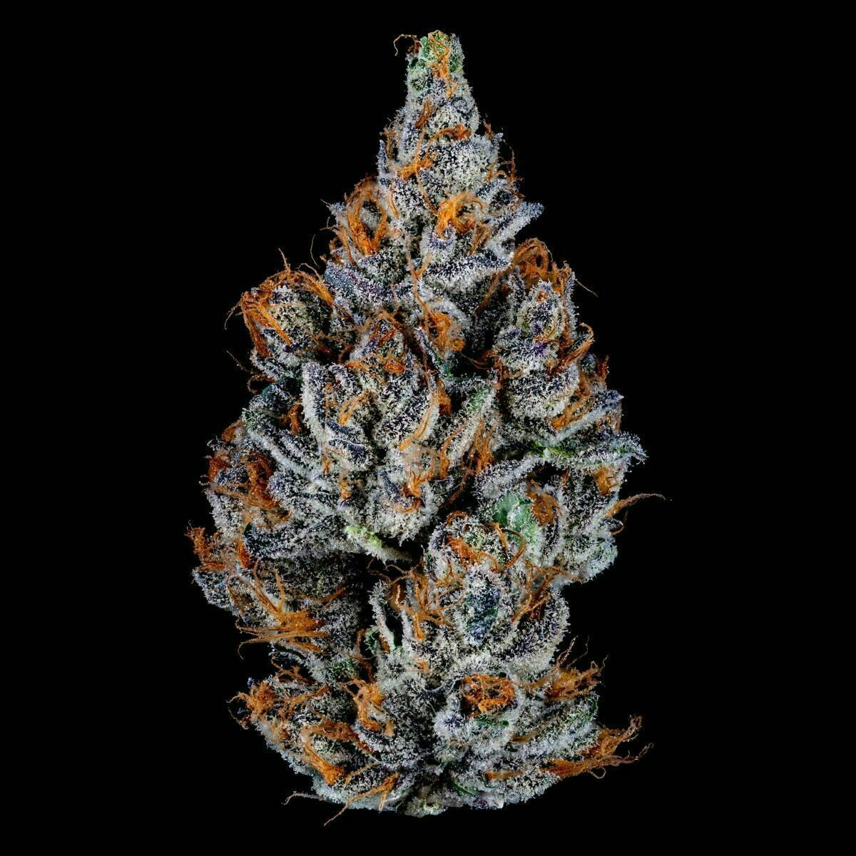 Fruit Stand: Flower (Maine Trees) - Vice Cannabis