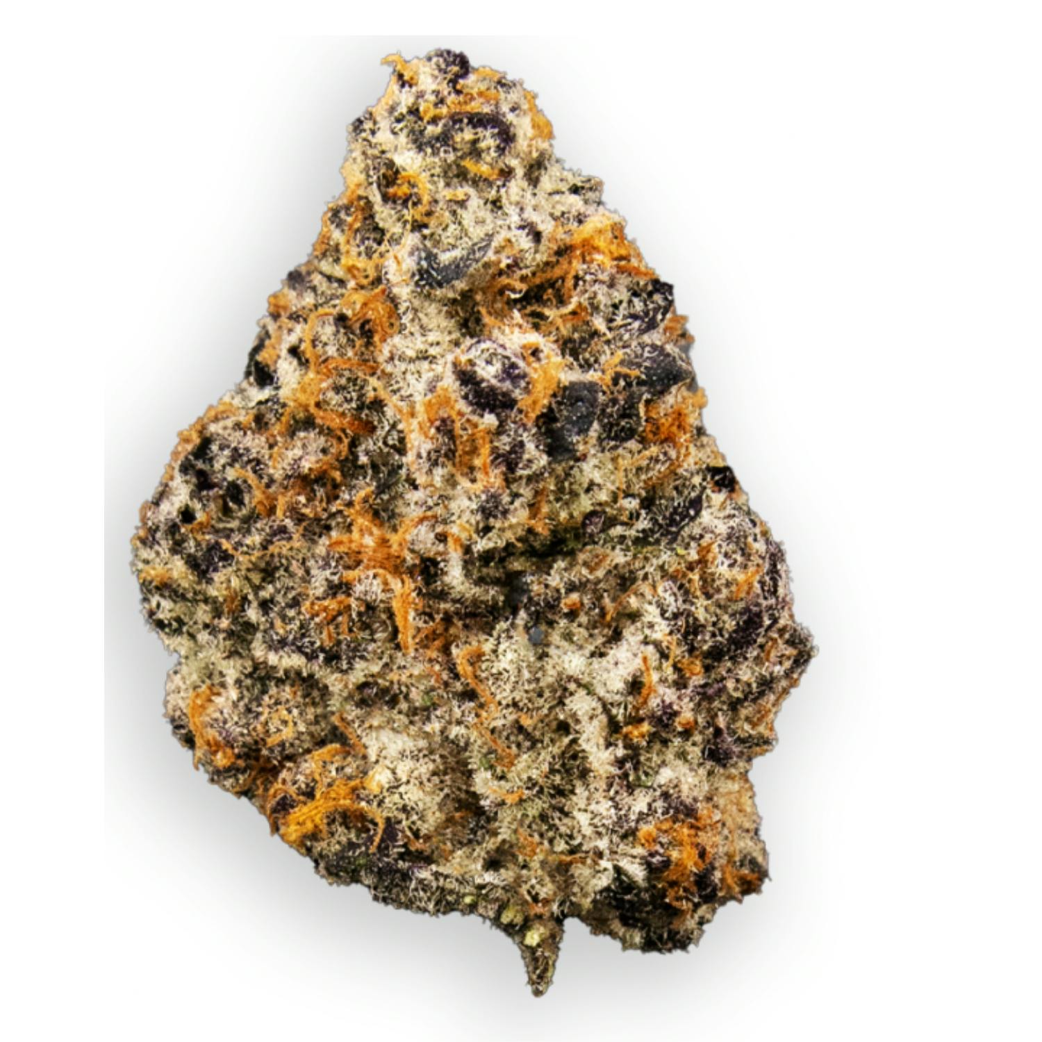 Gary Payton x Fish Scale - Cepalegre