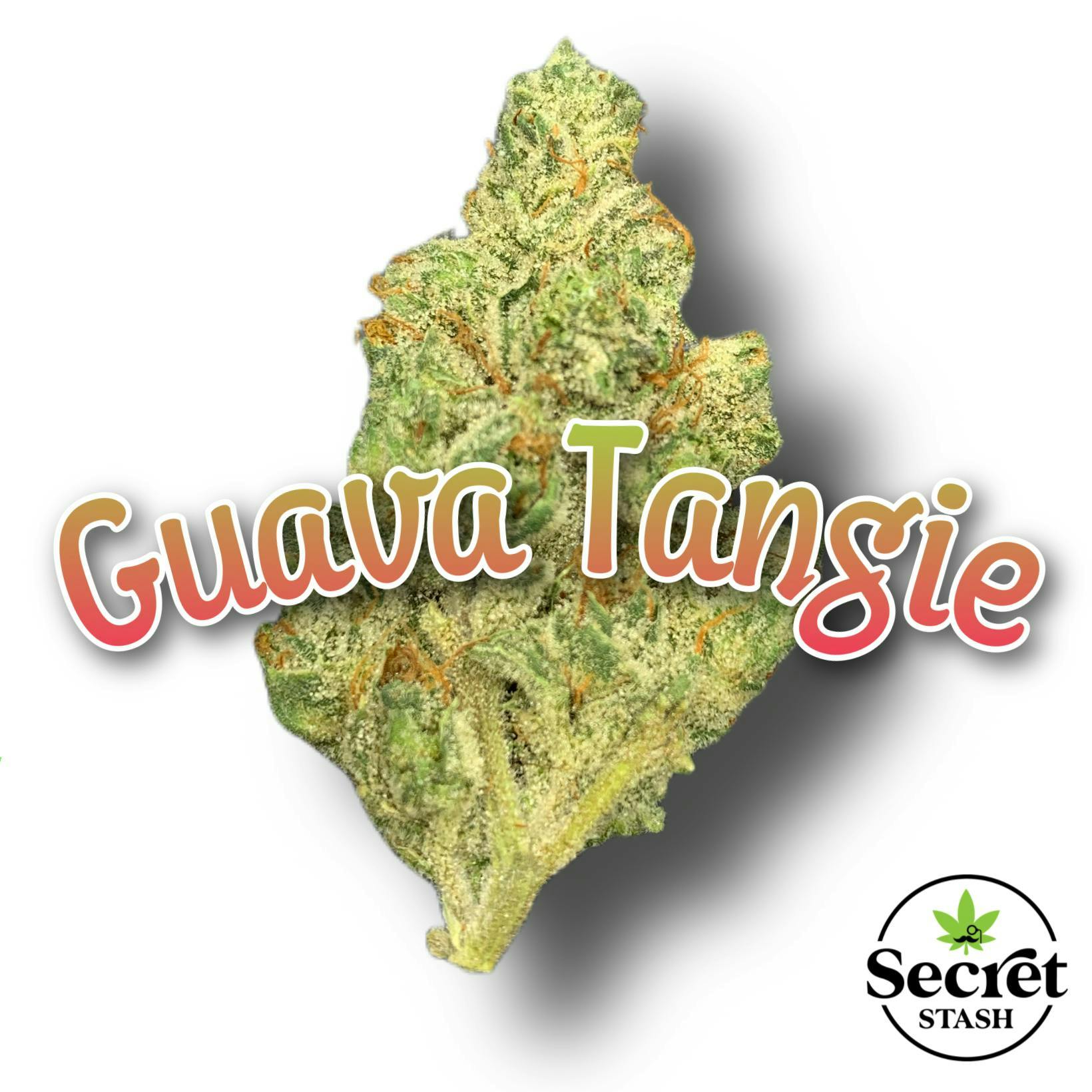 Secret Stash | Flower | Guava Tangie | G - Secret Stash