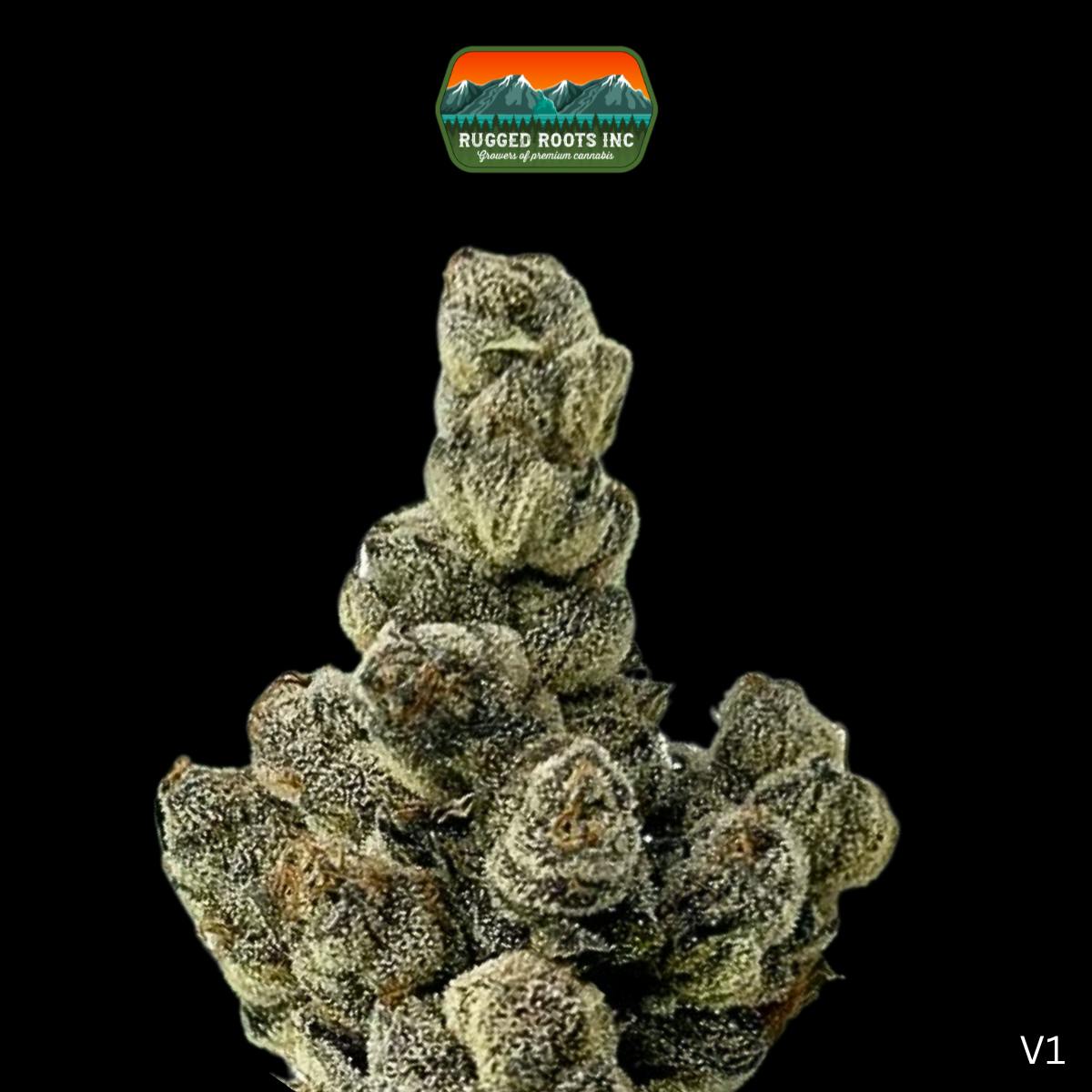 Rugged Roots | Piescream 3.5g - The Healing Community MEDCo - Lewiston ...