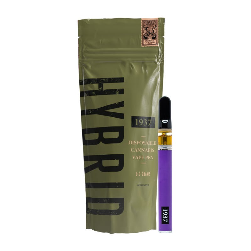 Pineapple Express - Disposable - 1937 Cannabis