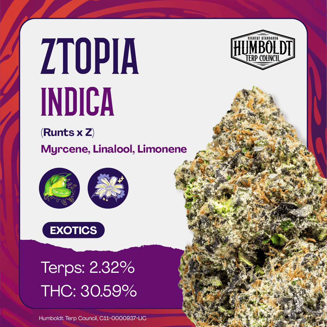 Humboldt Terp Council | Ztopia 3.5g - Humboldt Terp Council