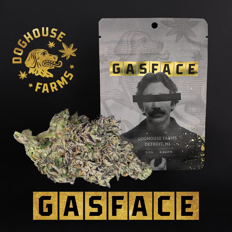 Gasface - 3.5g Mylar Bar - Indica - Doghouse Farms