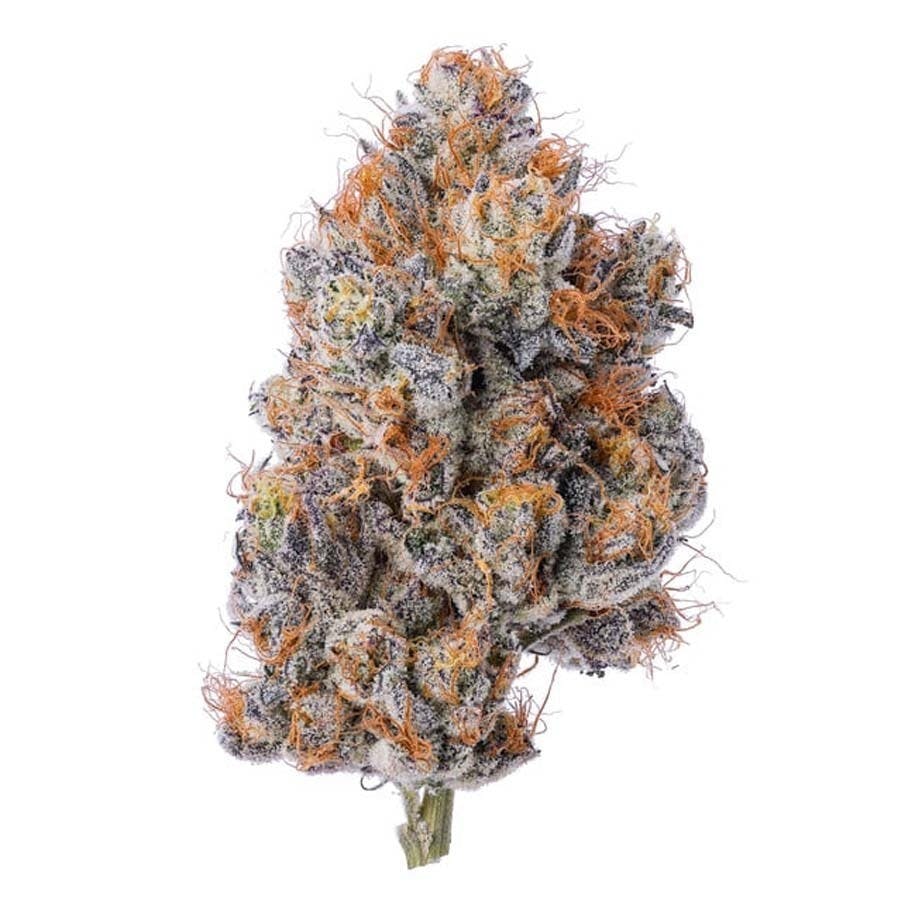 Blue Chip - The Doap - Purple Lotus