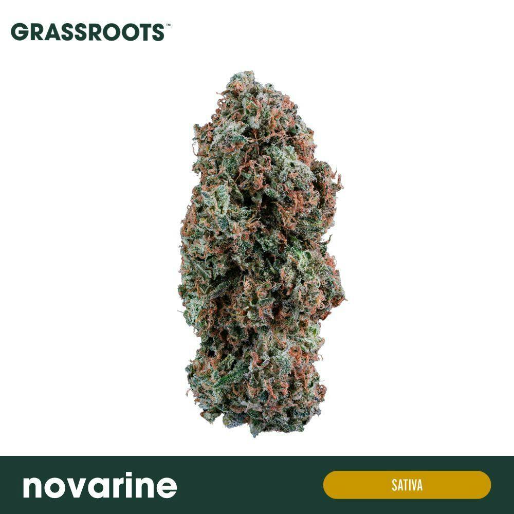 Novarine Flower - Grassroots