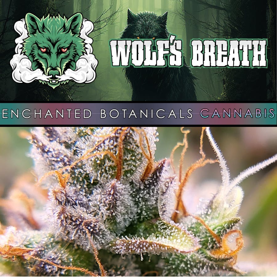 Allsick - Wolf's Breath by Enchanted Botanicals - Enchanted Botanicals