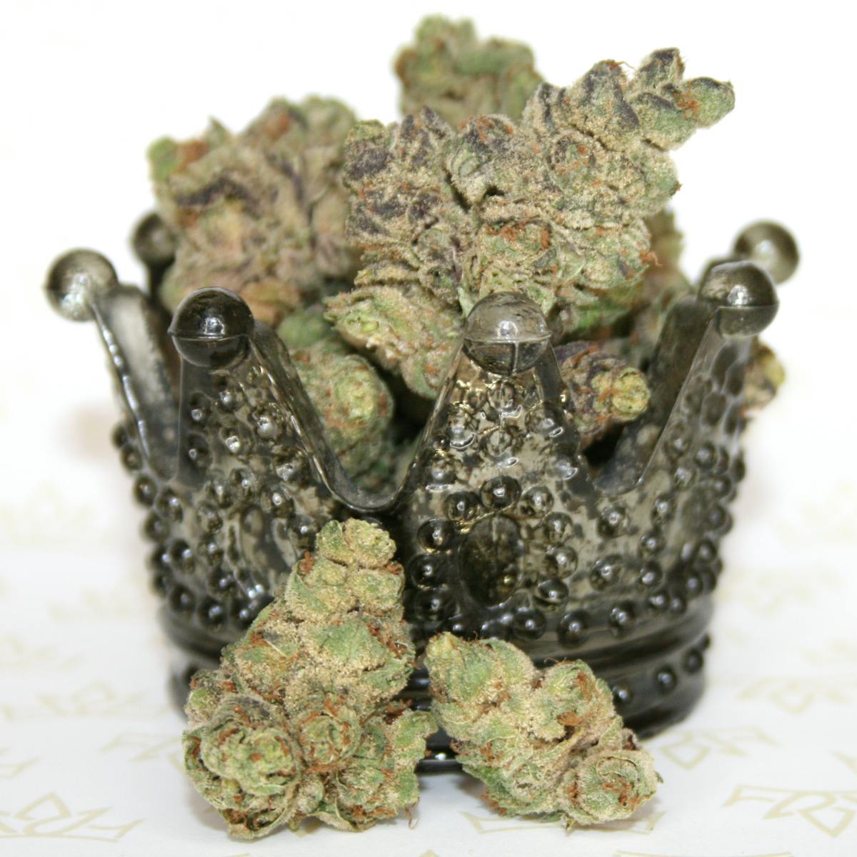 Red Runtz - Dutchess of Denver