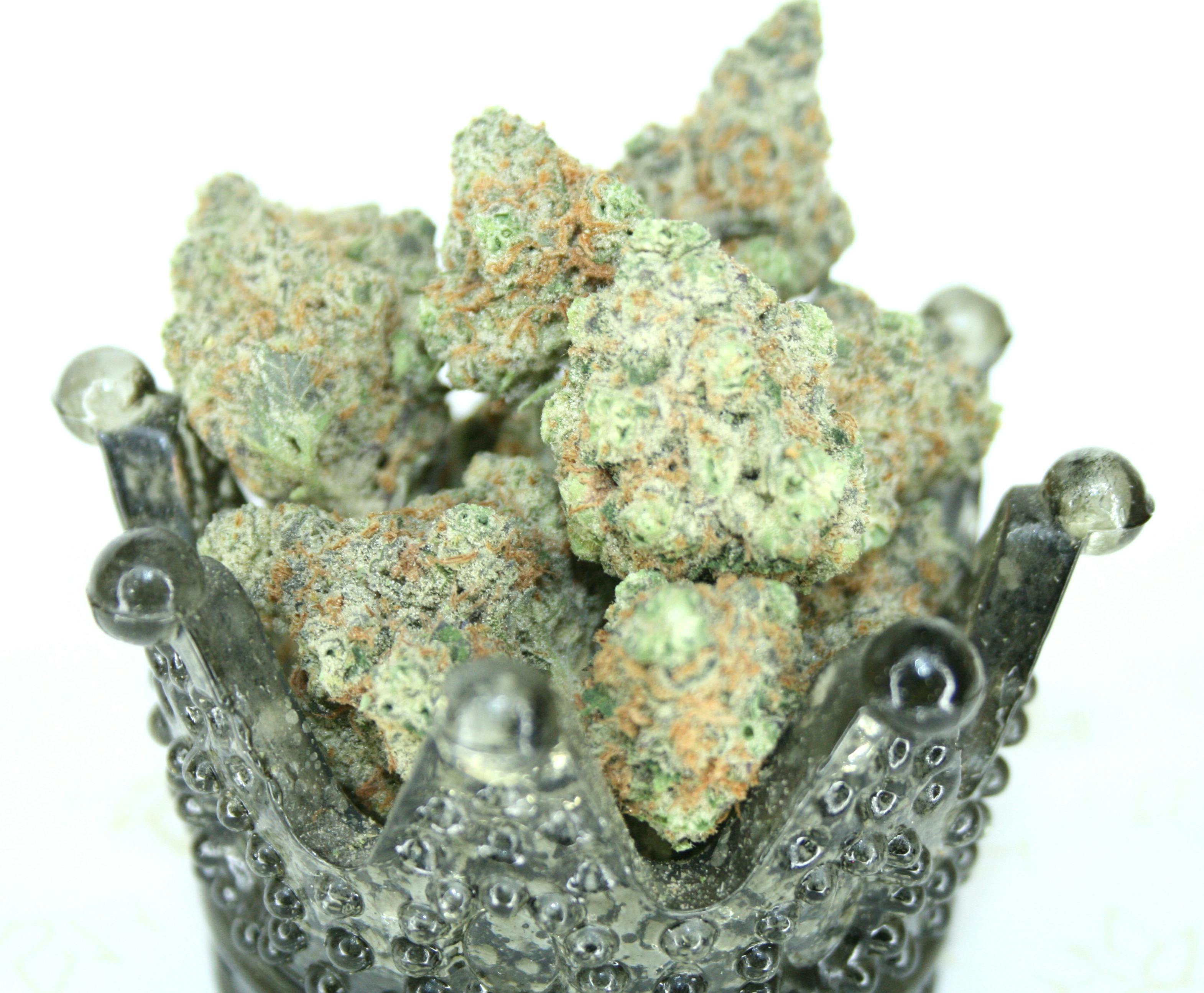 Devil Driver - Dutchess of Denver