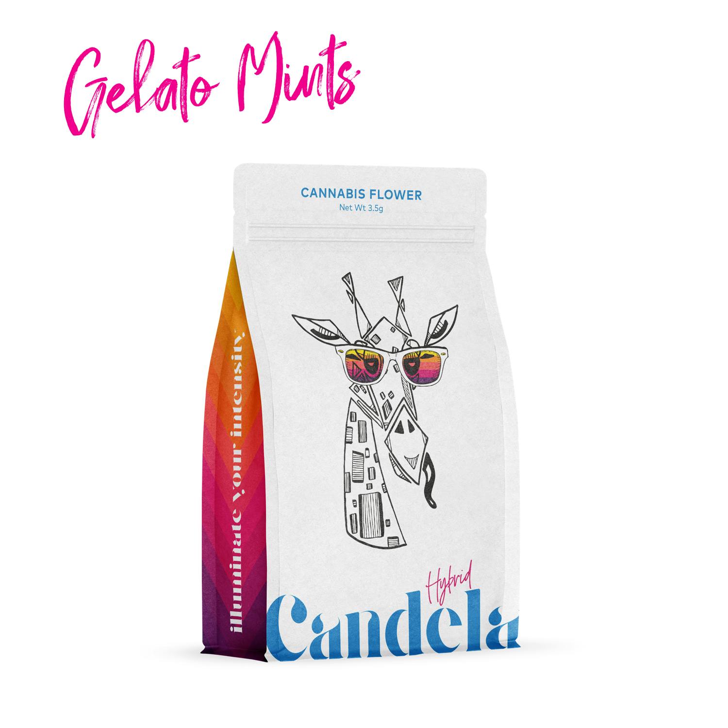 Candela Gelato Mints 3.5G Prepack - Candela