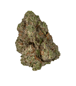 First Class Camden (formerly Dispo) - Camden, Michigan Marijuana Dispensary