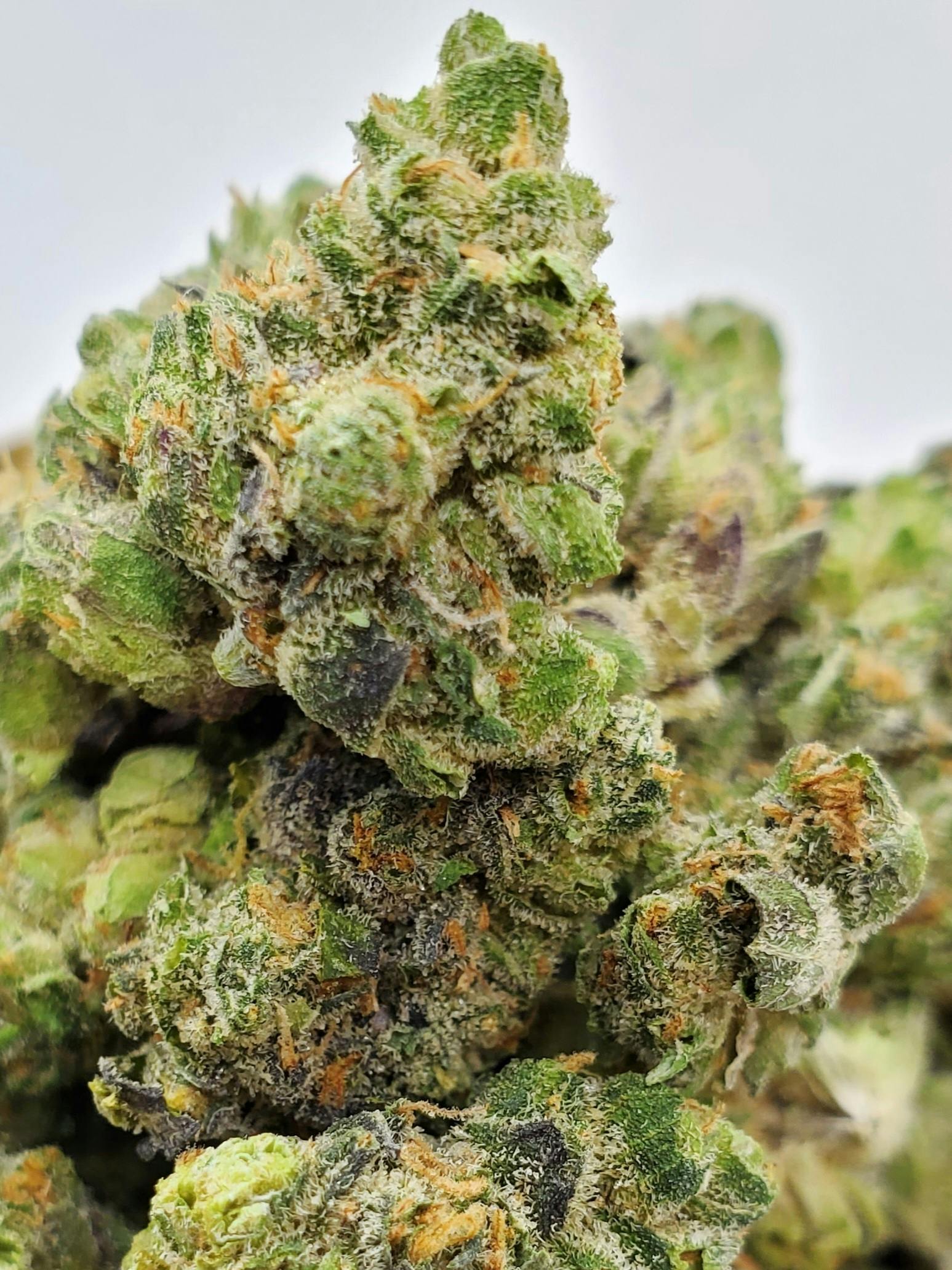 Platinum OG Smalls 14g - World Class Cannabis