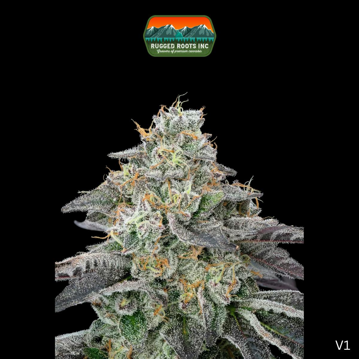 Rugged Roots | Permanent Marker 3.5g - Rugged Roots