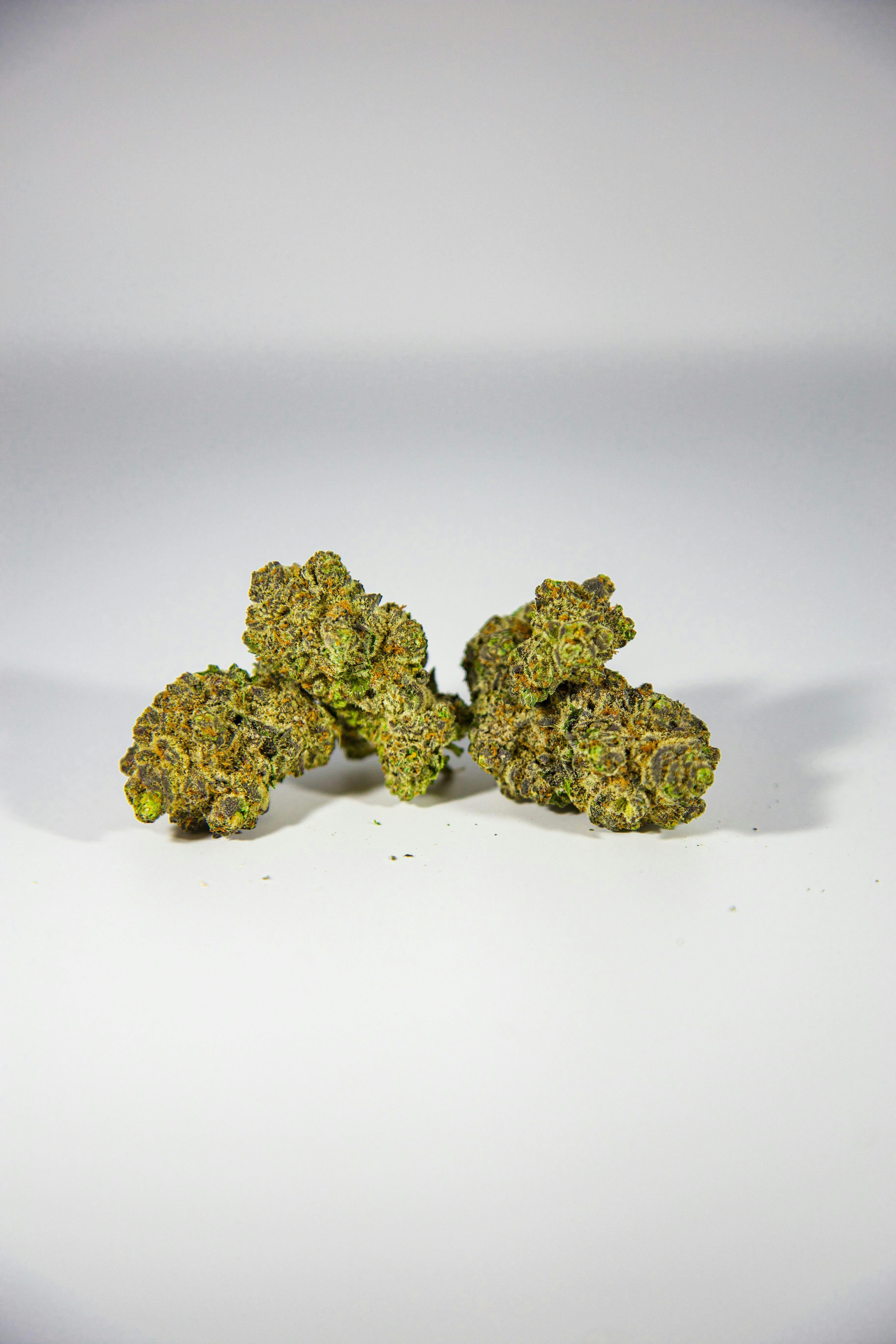 SHATTER HOUSE | Jackpot OG 3.5g Prepack - Shatter House