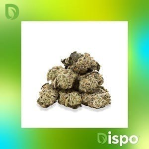Dispo | Buds | Berry Bomb Pop - 7g - Dispo