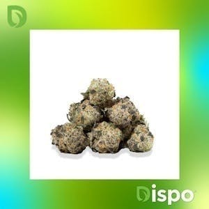Dispo | Buds | Cherry Runtz - 28g - Dispo
