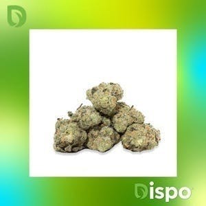 Dispo | Buds | First Class Funk - 14g - Dispo