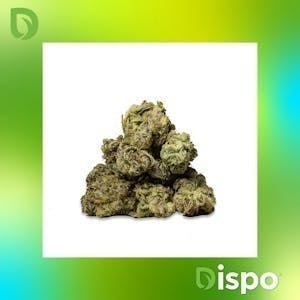 Dispo | Buds | Gelato 45 - 2g - Dispo