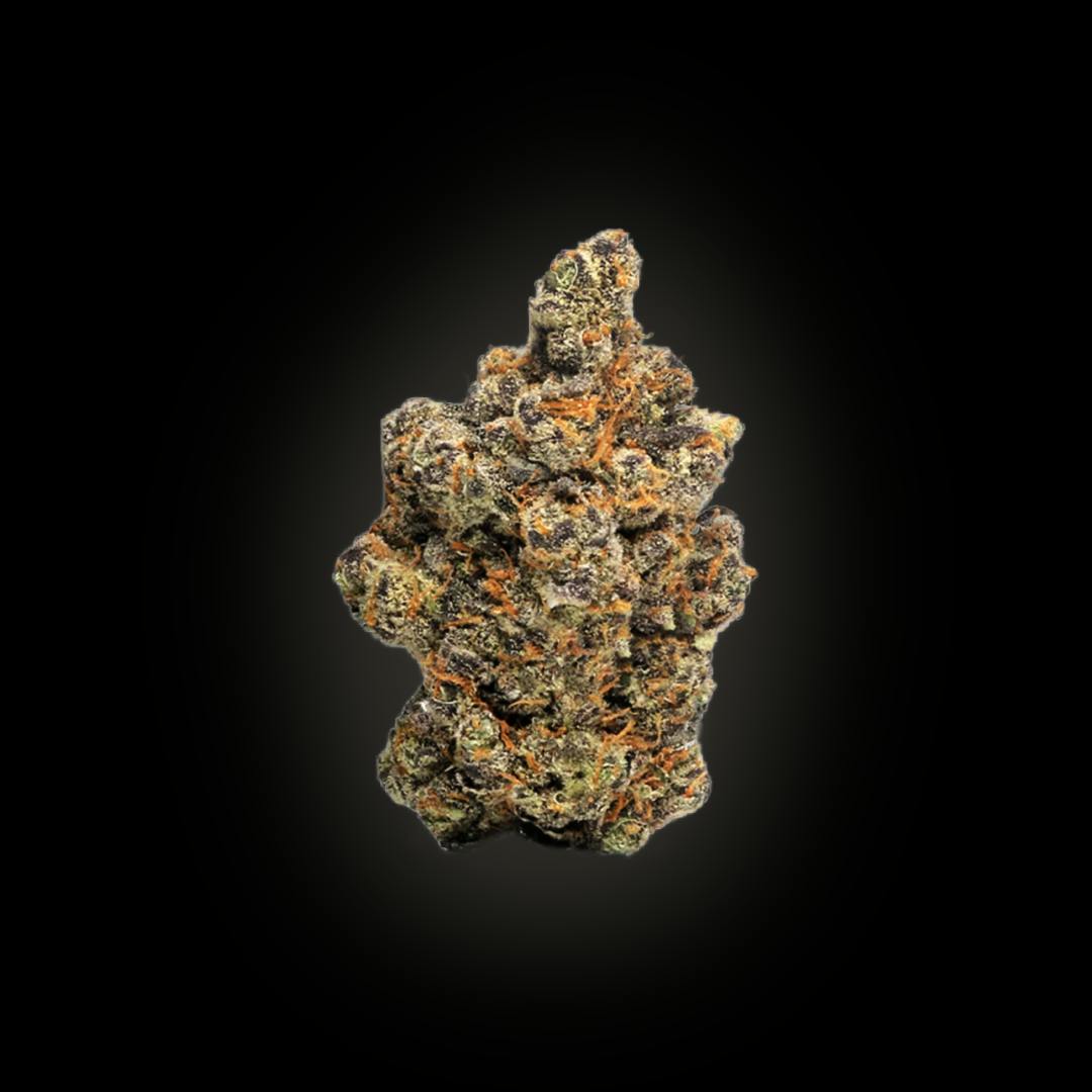 Caleta Flower | Smarties - Auraz