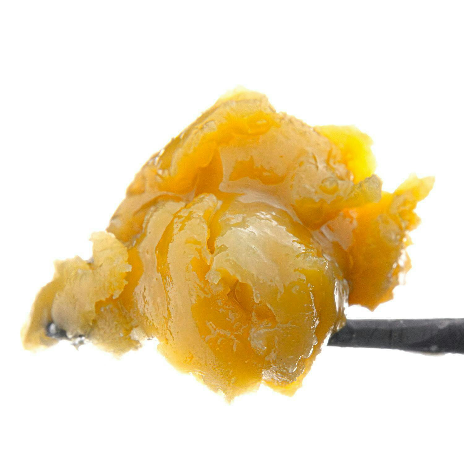 GMO Root Beer Live Resin Badder - West Coast Cure GMO Root Beer Live Resin Badder - West Coast Cure