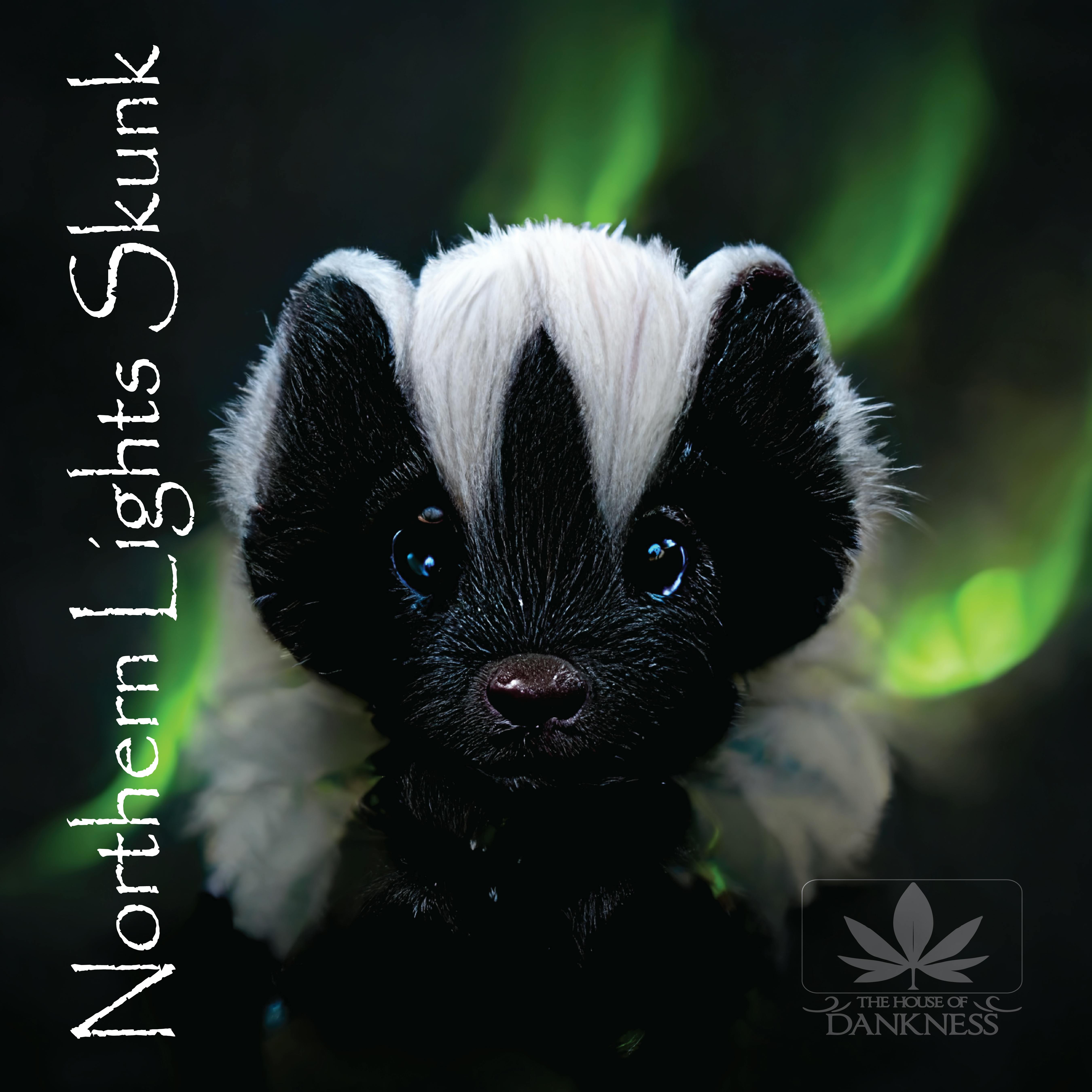 Northern Lights Skunk - House Of Dankness