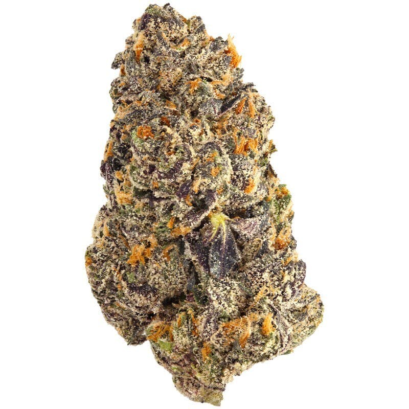 Platinum Cherry Gelato - Hyperwolf