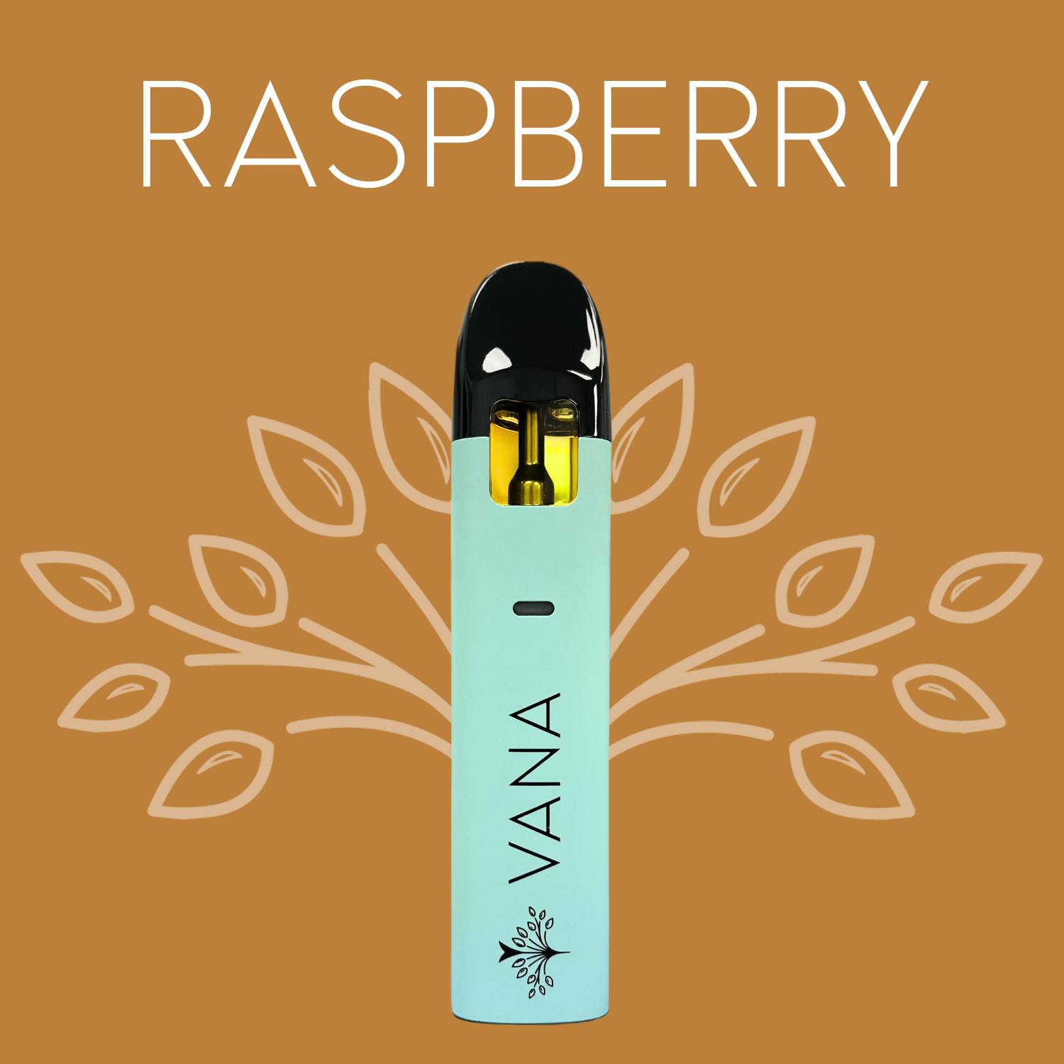 Raspberry - 2 Gram Disposable - Vana