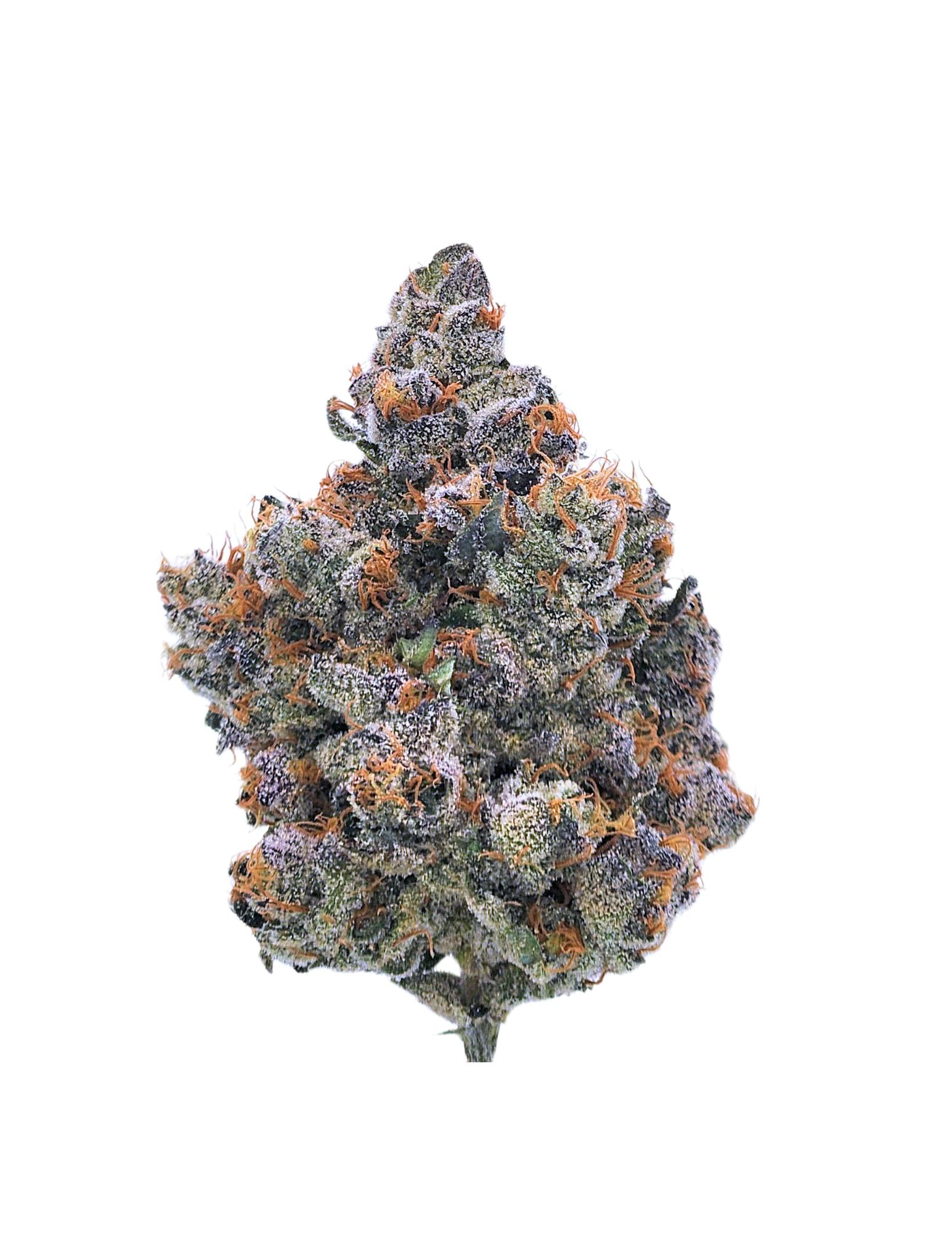 Purple Churro - Sense Grown