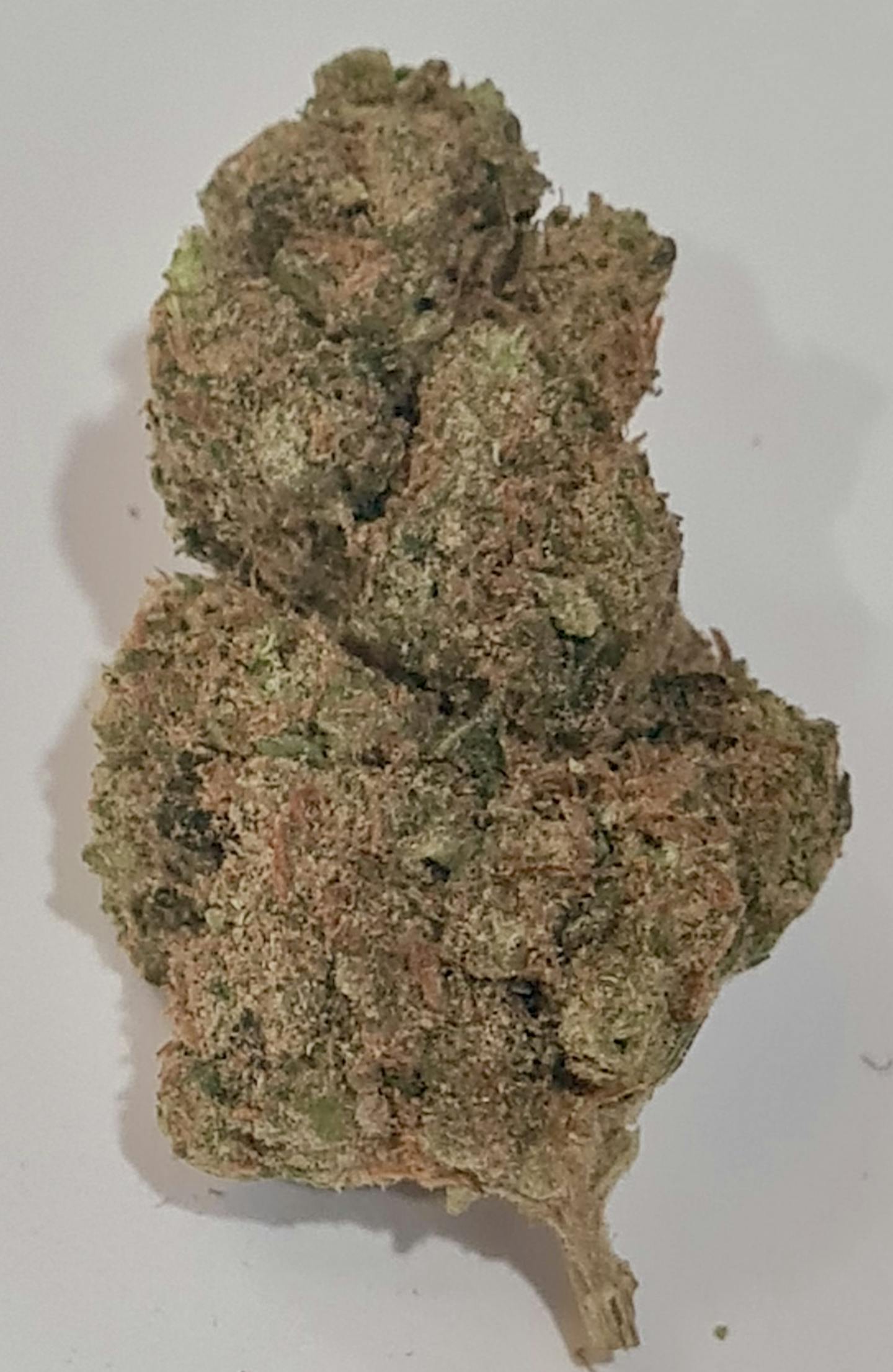 Blue Cheese - Hybrid- 27.65% THC - Animal